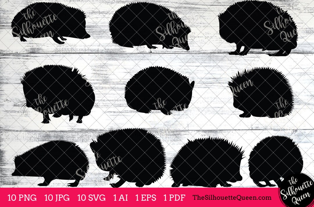 Hedgehog Svg, Hedgehog Monogram, Hedgehog Svg File,cuttable, Hedgehog ...