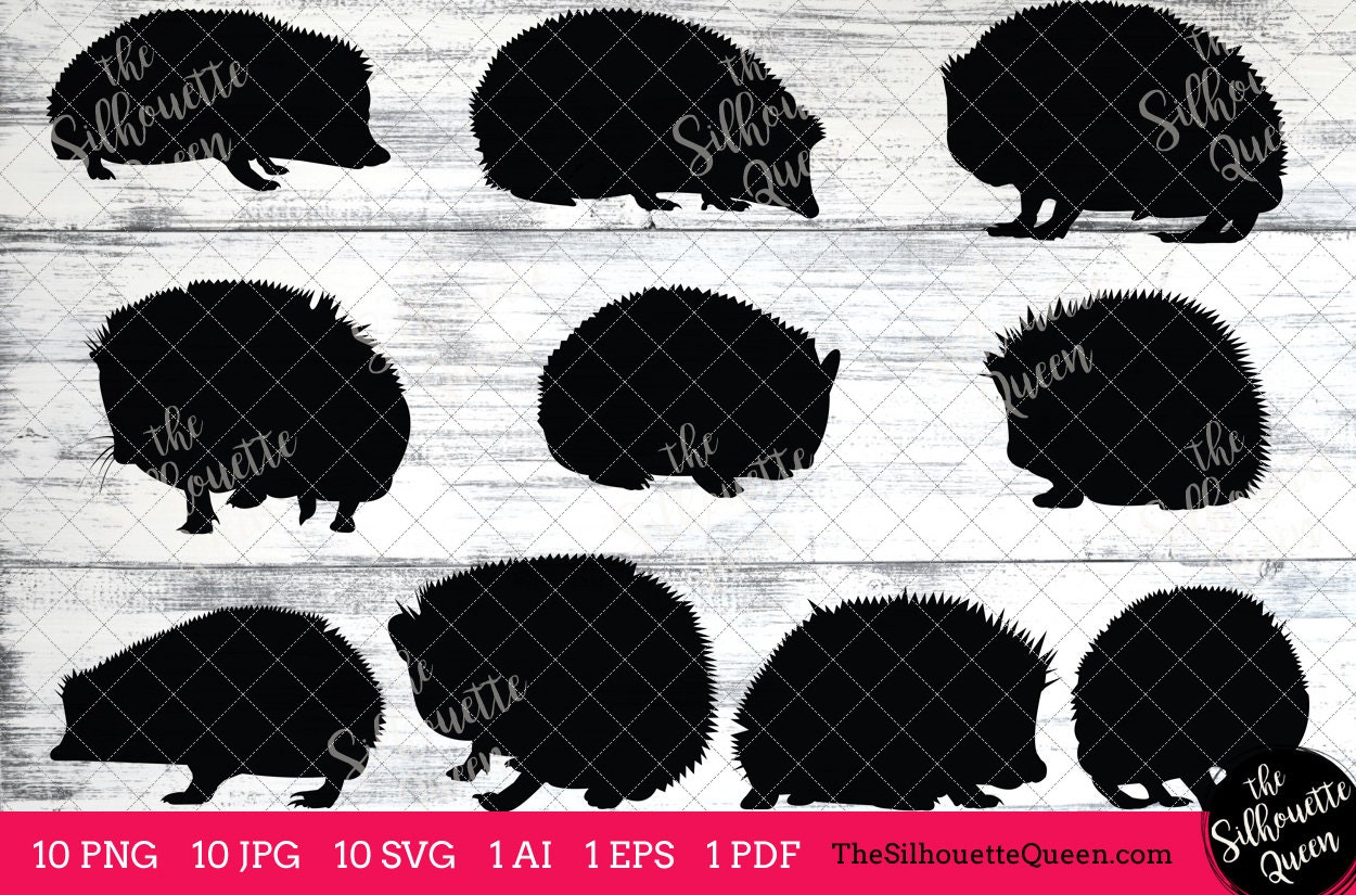 Hedgehog Svg, Hedgehog Monogram, Hedgehog Svg File,cuttable, Hedgehog ...