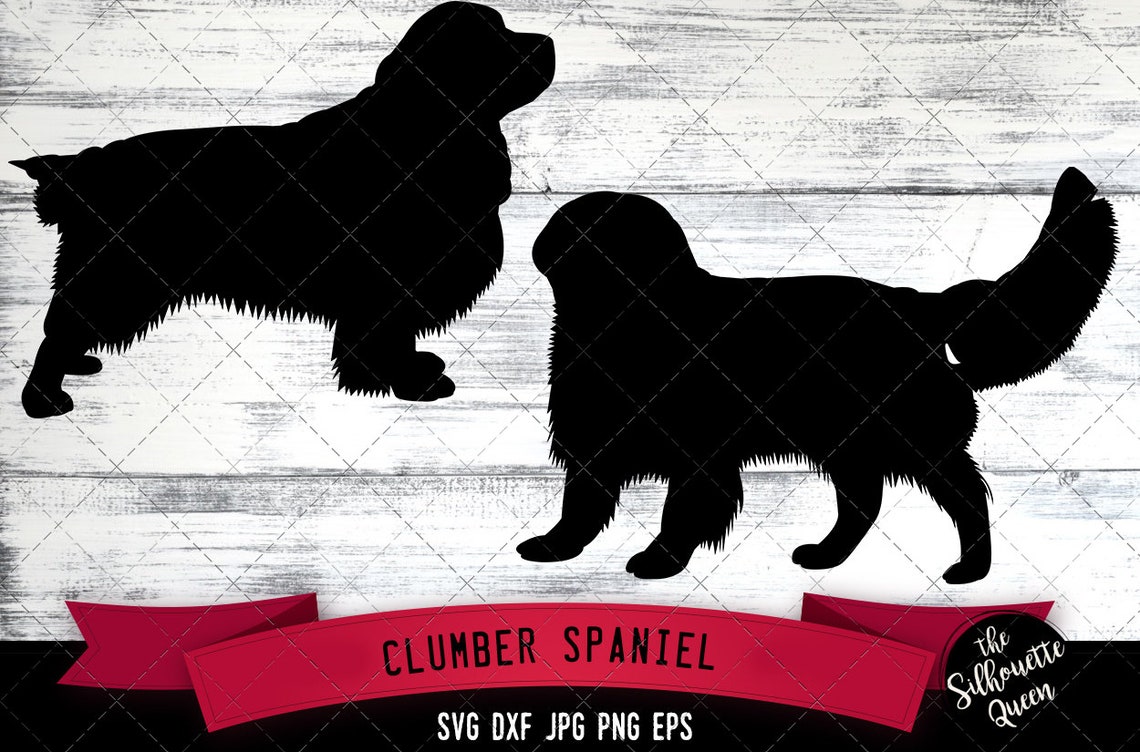 Clumber Spaniel SVG Files, Dog Svg, Silhouette File, Cricut File, Cut ...