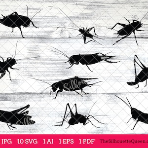 Cricket Insect Svg, Cricket Bug Monogram, Cricket Svg File, Cricket ...