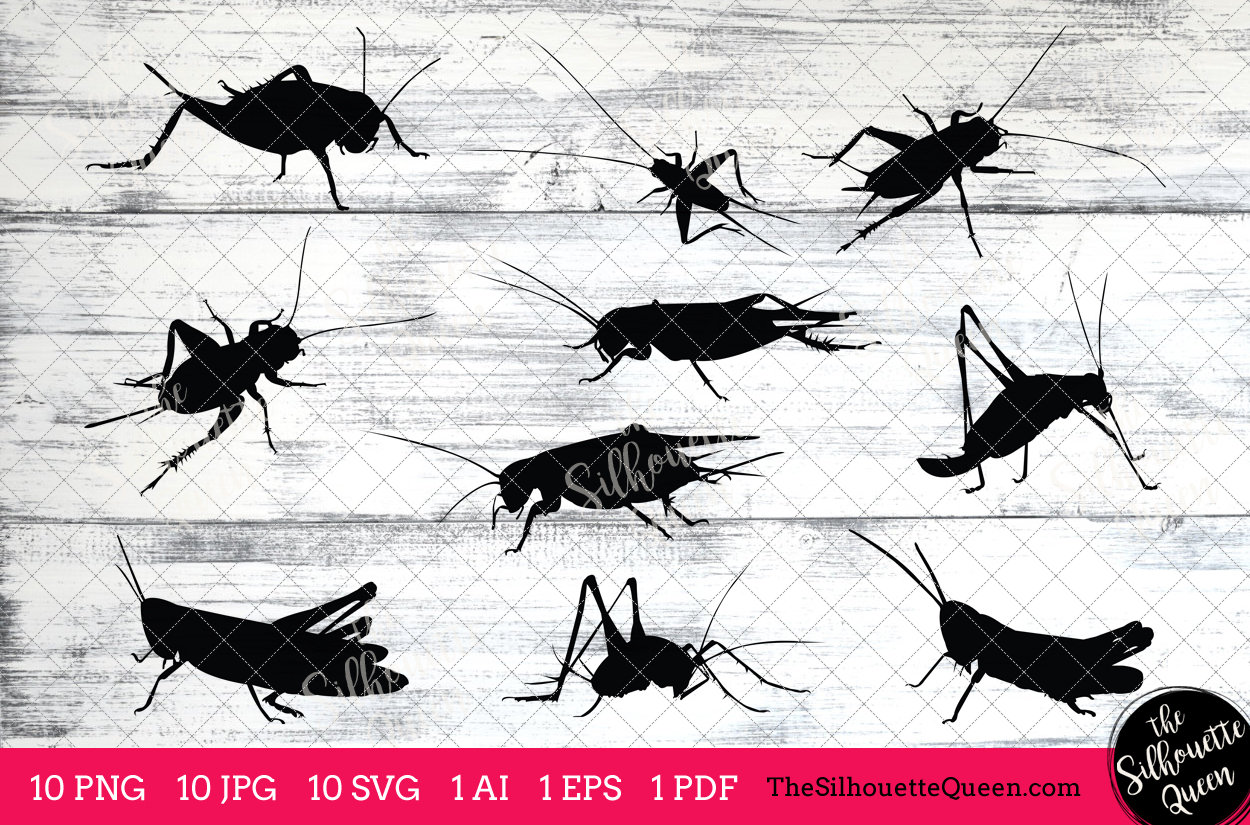 Cricket Insect Svg Cricket Bug Monogram Cricket Svg File - Etsy