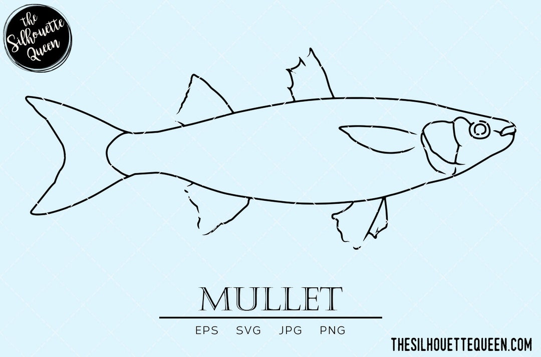 Mullet Svg, Salt Water Fish Svg, Marine Svg, Aquatic Svg, Fish Face Svg ...