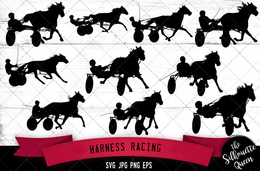 Harness Racing Svg, Horse Sport Svg, Horse Racing Svg, Equestrian Sport ...