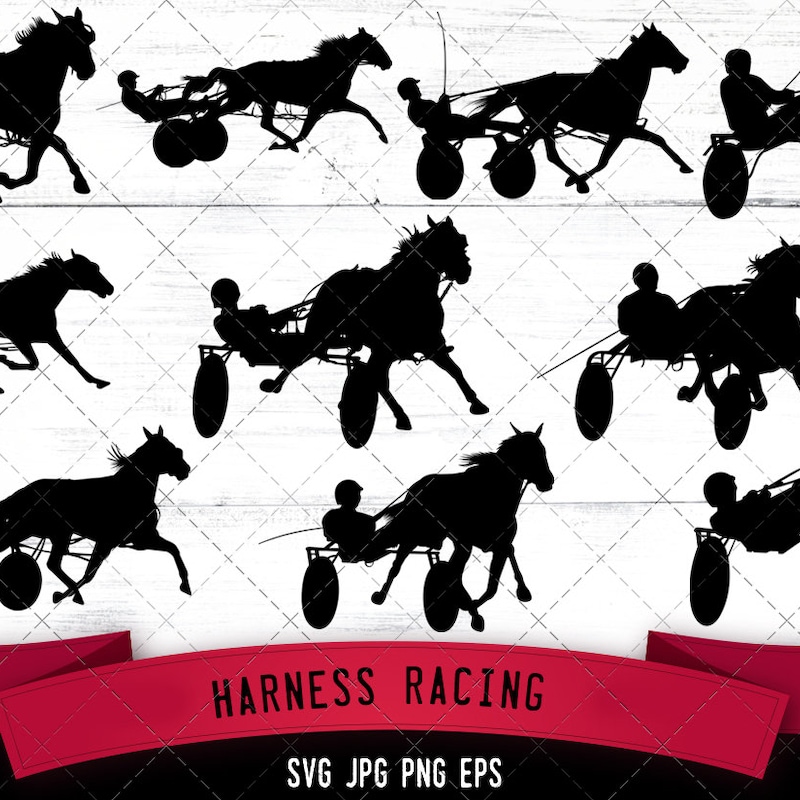 Harness Racing Sulky - Etsy