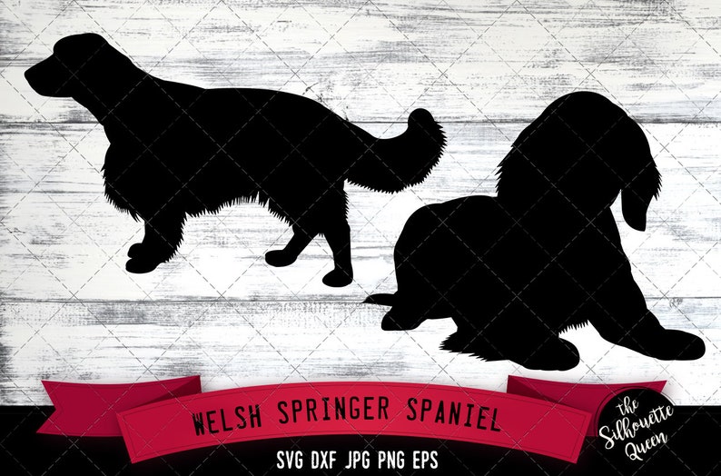 Welsh Springer Spaniel SVG Files Dog Svg Silhouette File - Etsy