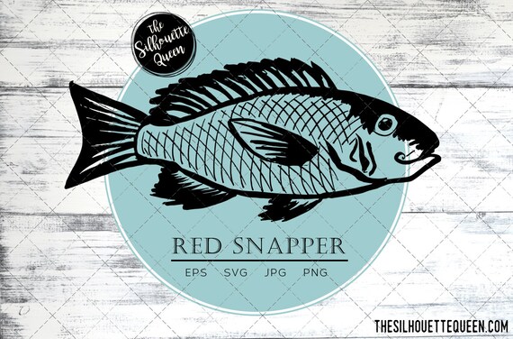 Red Snapper Fish SVG Design Files Hand drawn Fishing Vector | Etsy