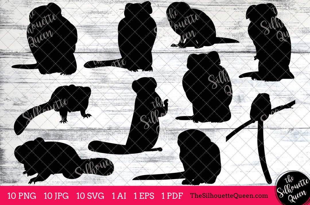 Marmoset Svg, Marmoset Monogram, Marmoset Svg File,cuttable, Marmoset ...