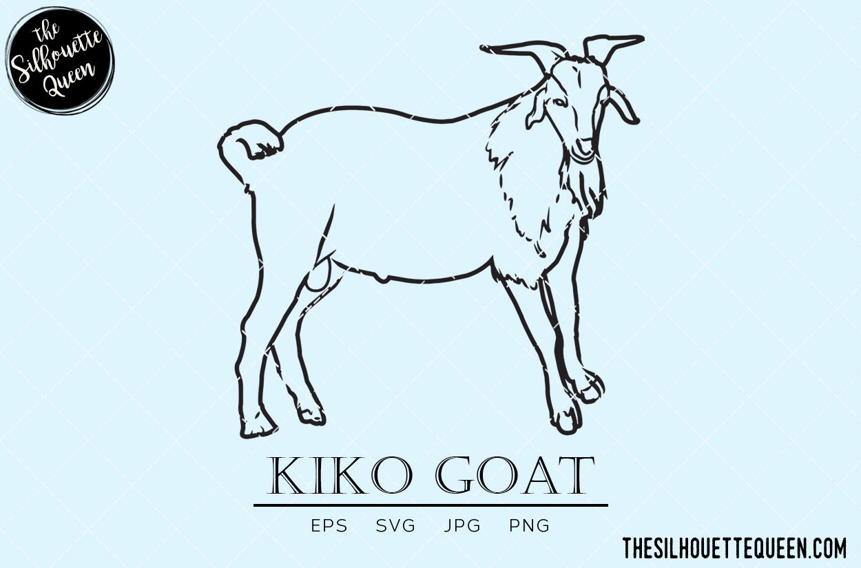 Kiko Meat Goat