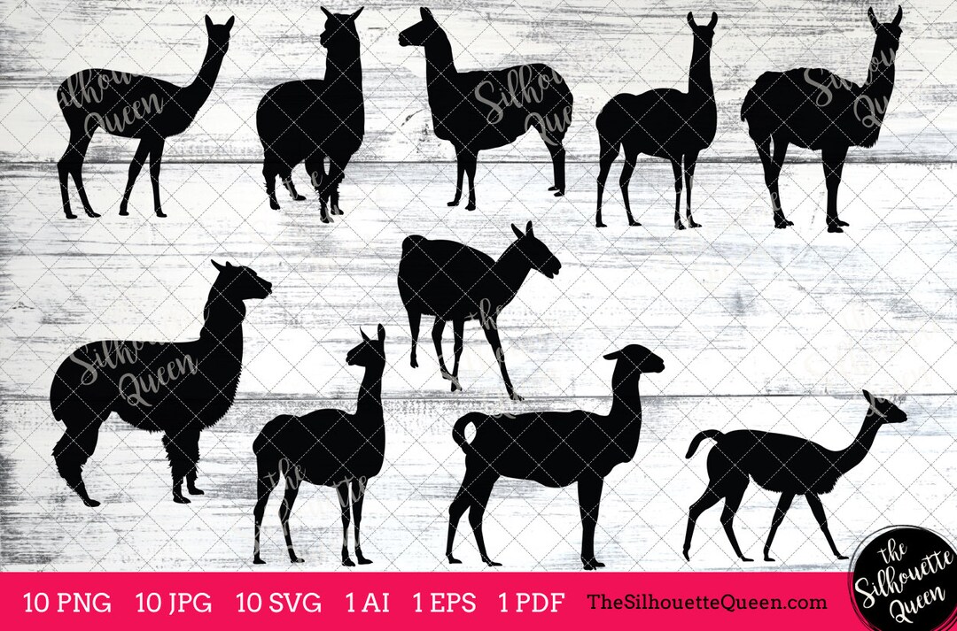 Vicuna Svg, Vicuna Monogram, Vicuna Svg File,cuttable, Vicuna Svg ...