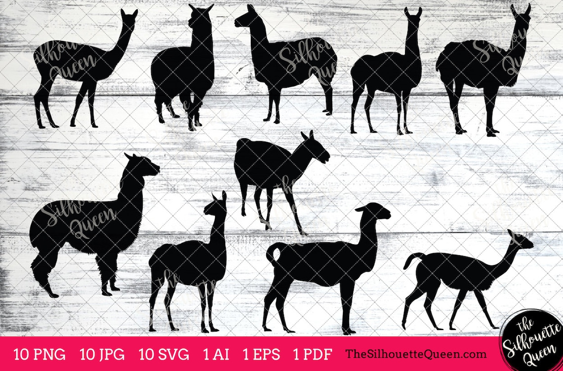 Vicuna Svg, Vicuna Monogram, Vicuna Svg File,cuttable, Vicuna Svg ...