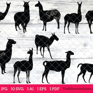 Vicuna Svg, Vicuna Monogram, Vicuna Svg File,cuttable, Vicuna Svg ...