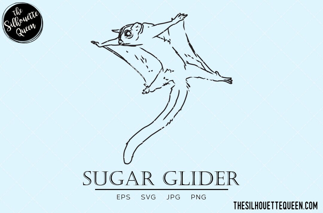 Sugar Glider Svg, Flying Squirrel Svg, Omniverous Svg, Furry Animal Svg ...