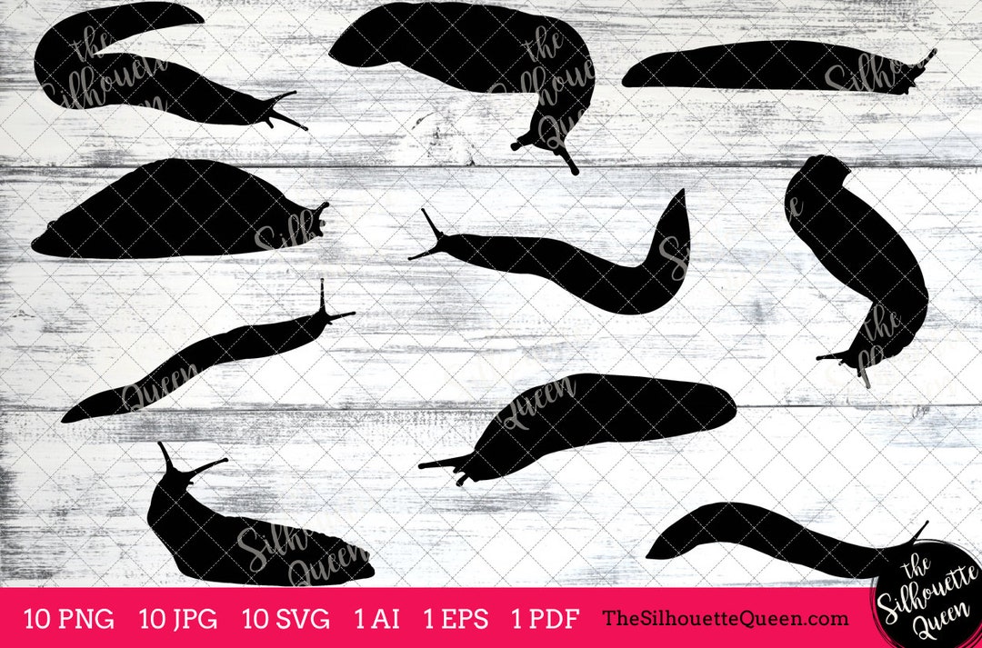 Sea Slug Svg, Sea Slug Monogram, Sea Slug Svg File, Sea Slug Cuttable ...