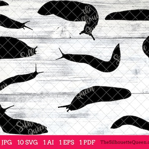 Sea Slug Svg, Sea Slug Monogram, Sea Slug Svg File, Sea Slug Cuttable ...