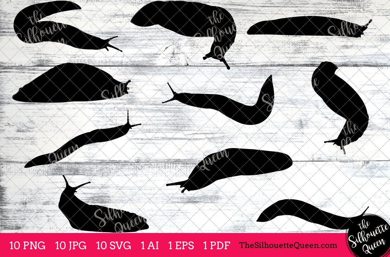 Sea Slug Svg, Sea Slug Monogram, Sea Slug Svg File, Sea Slug Cuttable ...