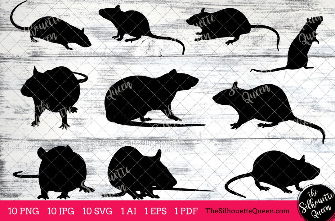 Rat Svg, Rat Monogram, Rat Svg File,cuttable, Rat Svg Bundle, Cut Files ...
