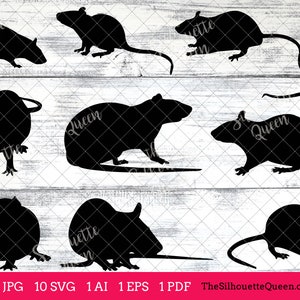 Rat Svg, Rat Monogram, Rat Svg File,cuttable, Rat Svg Bundle, Cut Files ...