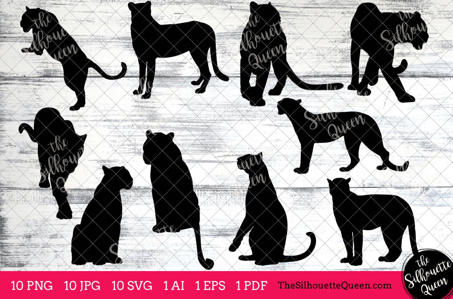 Leopard Svg Leopard Monogram Leopard Svg Filecuttable - Etsy