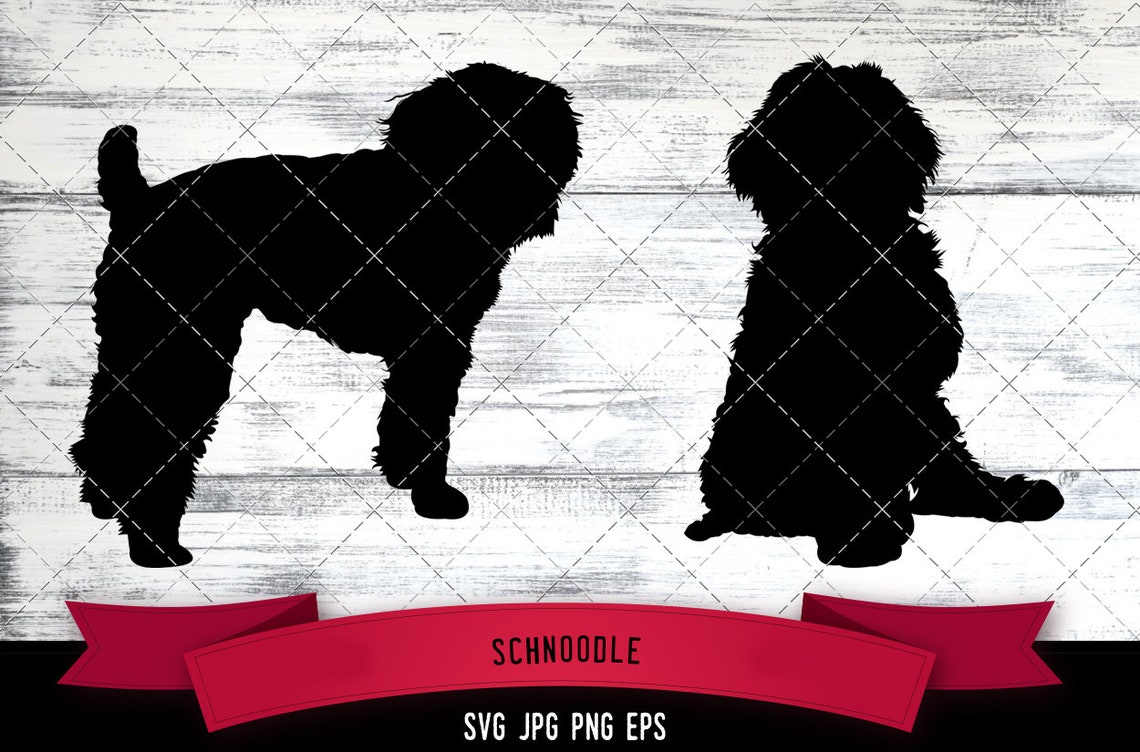 Schnoodle Svg, Lap Dog Svg, Crossbreed Svg, Schnauzer Svg, Miniature ...