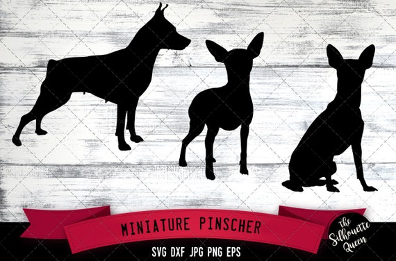 Miniature Pinscher SVG Files Dog Svg Silhouette File Cricut - Etsy Finland