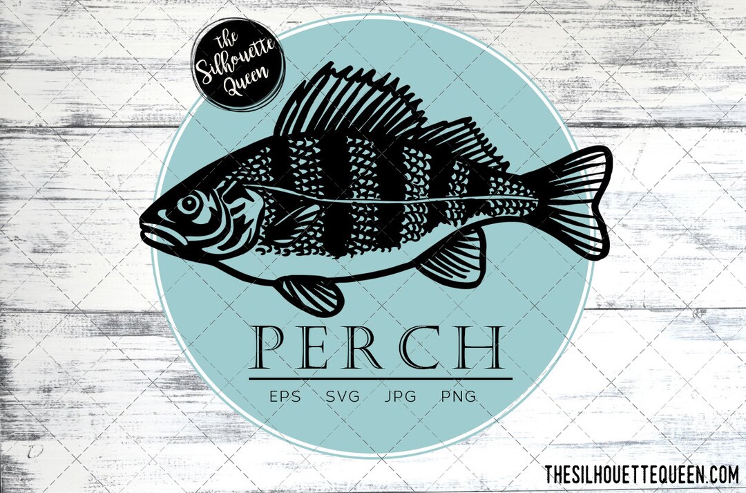 Perch Fish, SVG Design Files, Hand Drawn Fishing Vector Clipart, Cricut ...