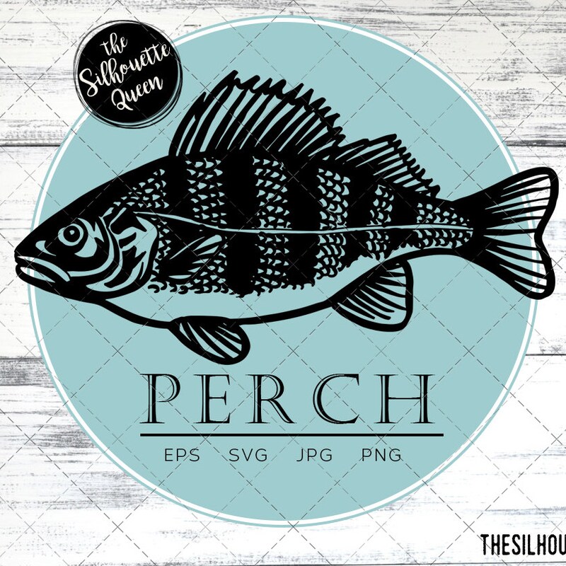 Perch Fish - Etsy