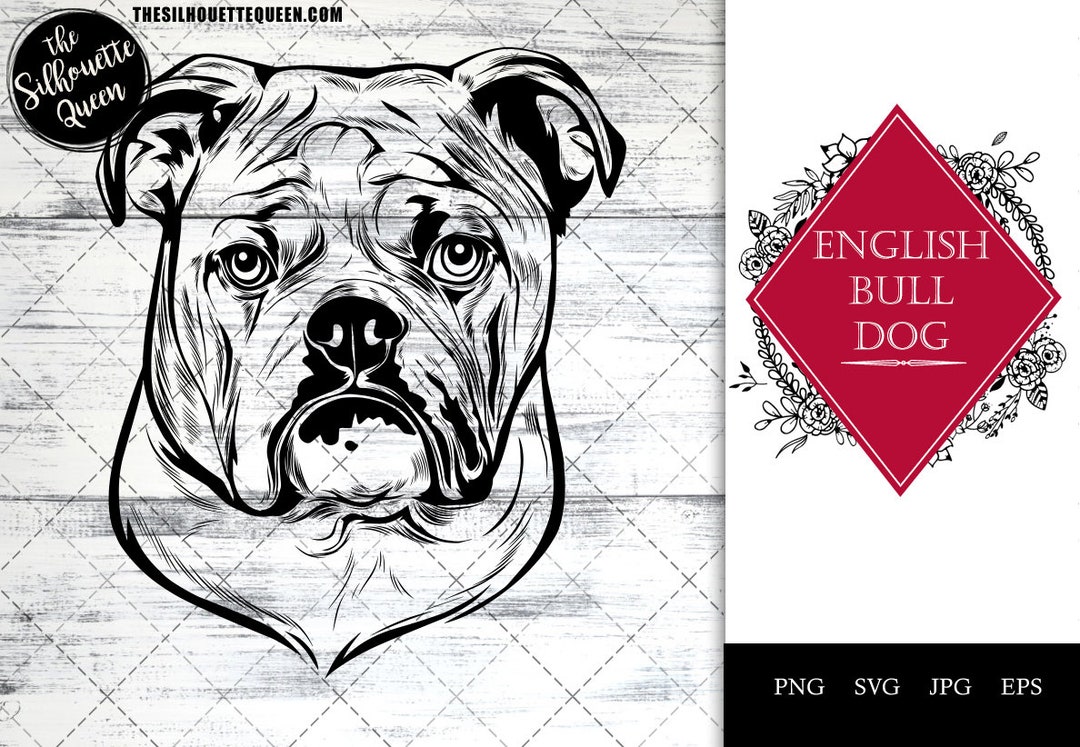 English Bulldog, Dog Breed, Pet Dog, Dog Lover, Dog Mom Dad, Dog Paw ...