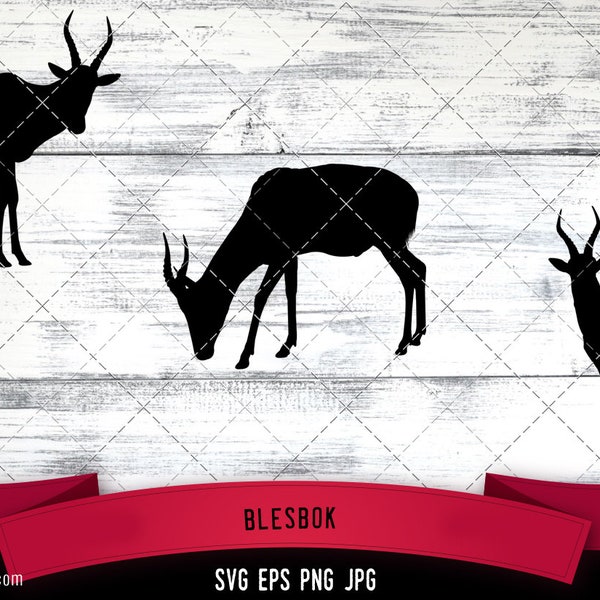 Blesbok - Etsy