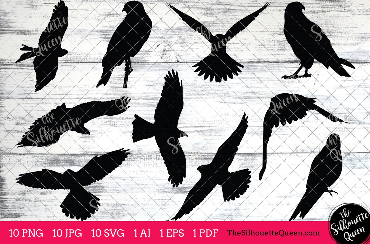 Falcon Bird SVG Files Bundle Flying Bird SVG Sitting Bird | Etsy
