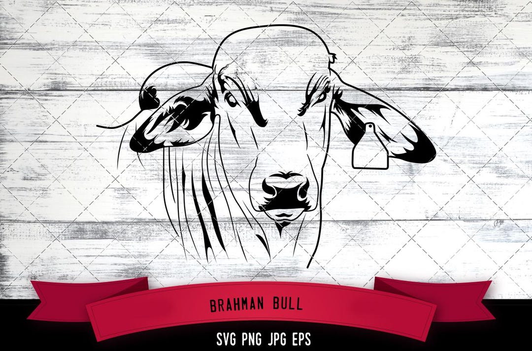 Brahman Bull Face SVG File, Farm Svg -vector Art Commercial/personal ...