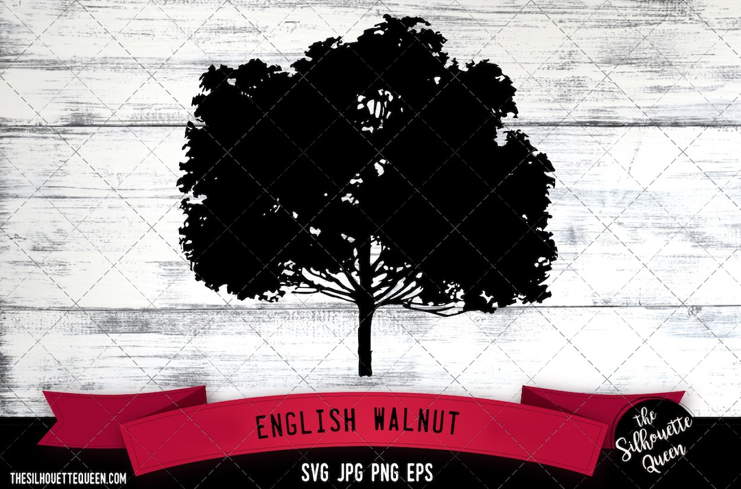 English Walnut SVG -vector Art Commercial & Personal Use- Cricut ...