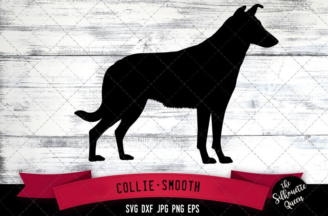 Collie Smooth SVG Files, Dog Svg, Silhouette File, Cricut File, Cut ...