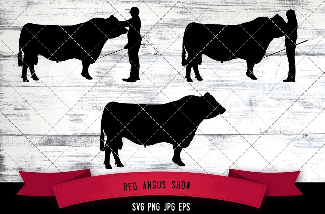Red Angus Cow Show SVG File,livestock Judging Svg, Farm Girl Boy Svg, 4 ...