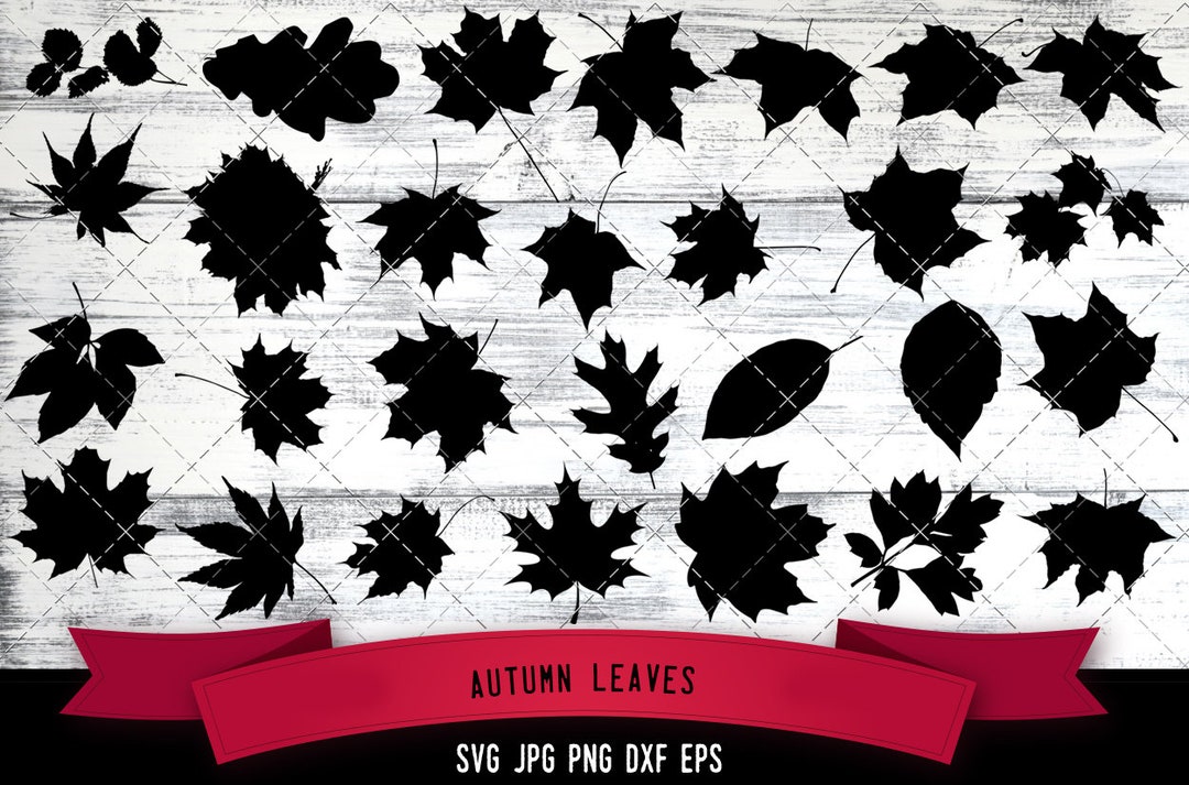 Autumn Leaves Svg, Fall Leaves Svg, Autumn Colors, Autumn Foliage Svg ...