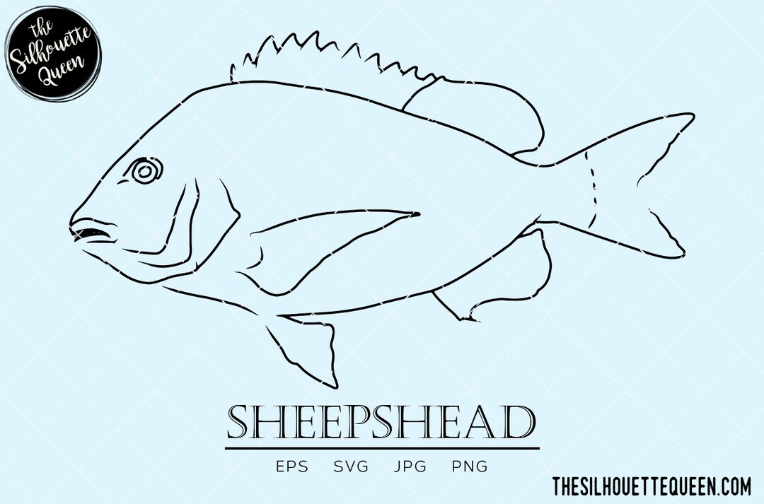 Sheepshead Svg, Salt Water Fish Svg, Marine Svg, Aquatic Svg, Fish Face ...