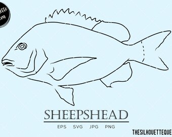 Sheepshead Svg Salt Water Fish Svg Marine Svg Aquatic Svg - Etsy