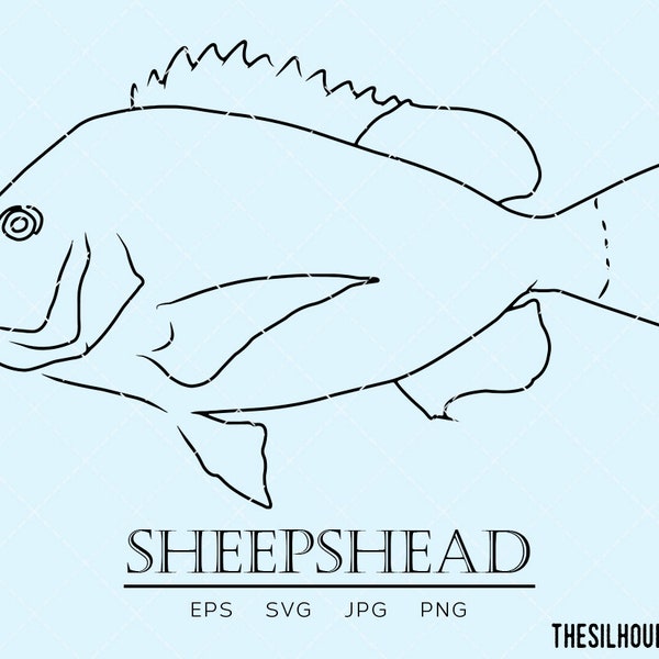 Sheepshead Fish Art - Etsy