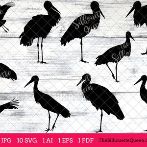 Stork Bird SVG Files Bundle, Flying Bird SVG, Sitting Bird SVG ...