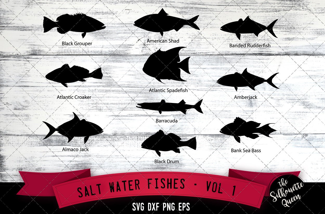 Salt Water Fishes Svg V1 Black Grouper, American Shad, Banded ...