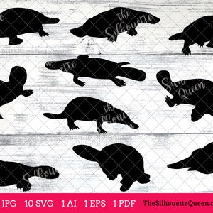 Platypus Svg, Platypus Monogram, Platypus Svg File,cuttable, Platypus ...