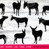 Escaramuza Charra, Female Equestrian, Mexico Svg, Horse Riding Svg ...