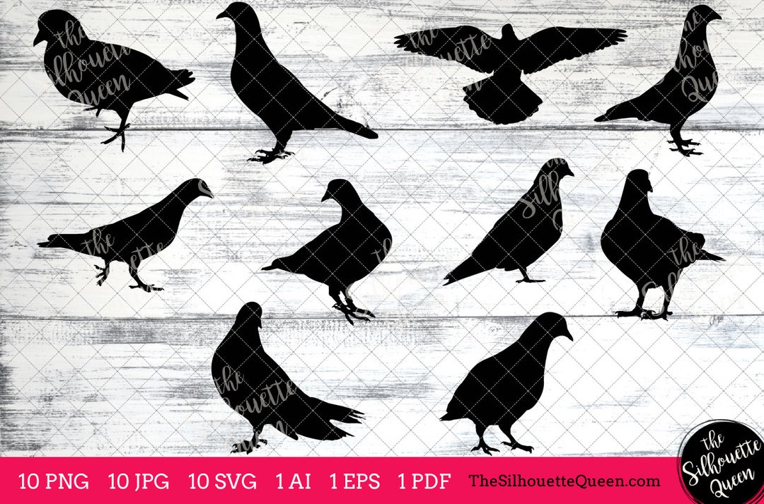 Pigeon Bird SVG Files Bundle, Flying Bird SVG, Sitting Bird SVG ...