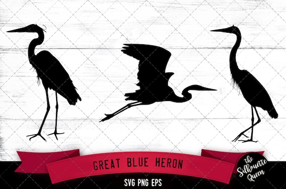 Gran garza svg garza azul svg aves svg wadding bird svg | Etsy España