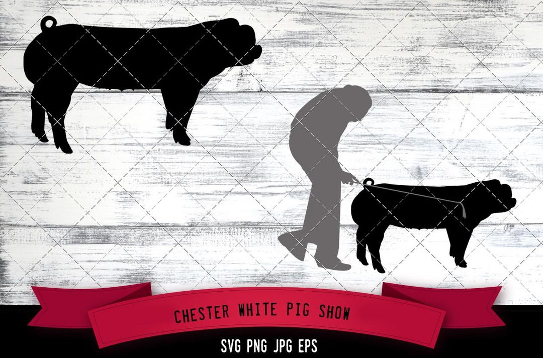 Chester White Pig Show SVG File, Livestock Judging Svg, Farm Girl Boy ...