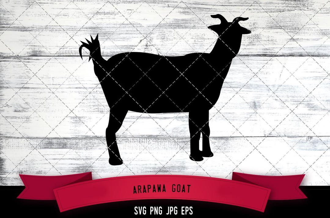 Arapawa Goat Show SVG File,livestock Judging Svg, Farm Girl Boy Svg, 4 ...