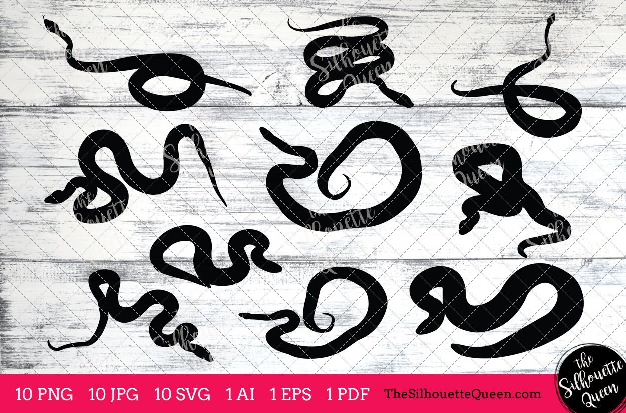 Boa Snake svg Boa monogram Boa svg filecuttable Boa svg | Etsy