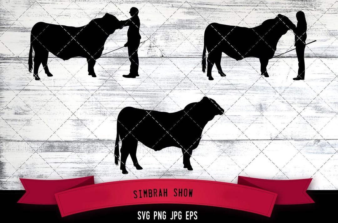 Simbrah Cow Show SVG File,livestock Judging Svg, Farm Girl Boy Svg, 4-H ...