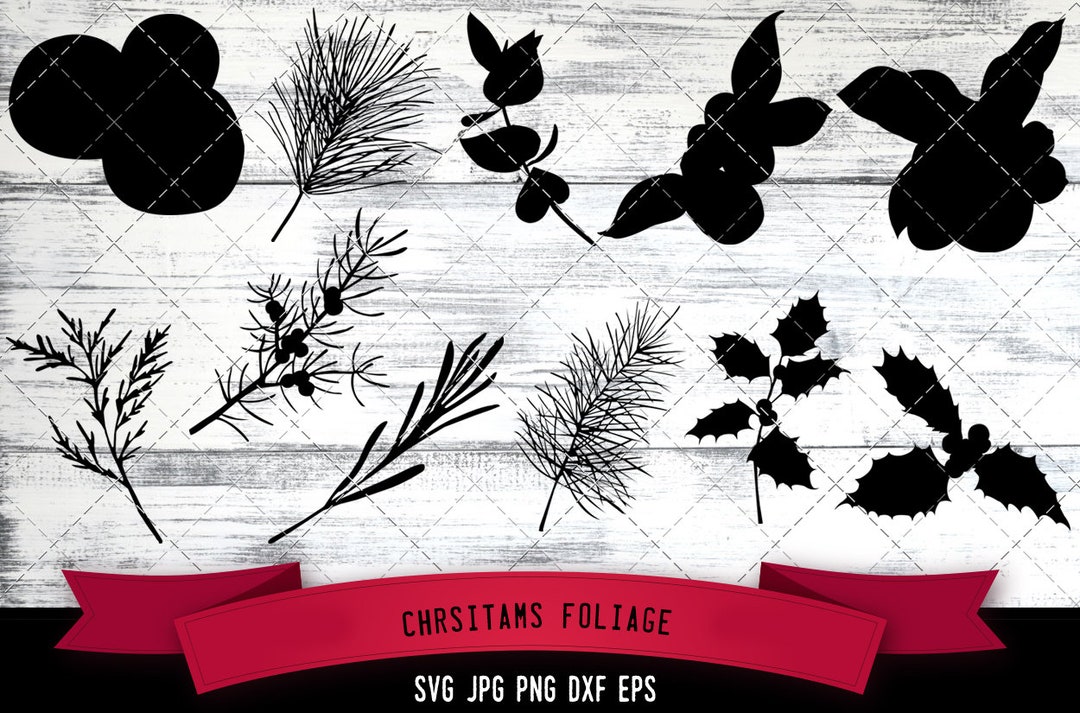 Christmas Foliage Svg, Christmas Leaves Svg, Pine Leaves Svg, Fir ...