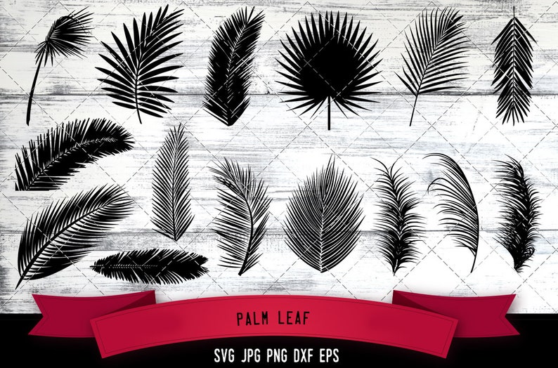 Palm Leaf Svg, Foliage Svg, Tropical Leaves Svg, Frond Svg, Pinnate ...