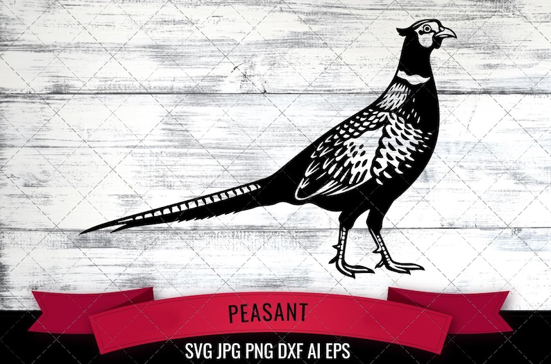 Pheasant Bird SVG Files , Flying Bird SVG, Sitting Bird SVG, Silhouette ...